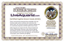 LiveAquaria® Coral Farm & Aquatic Life Facility: Helping Protect Reefs ...