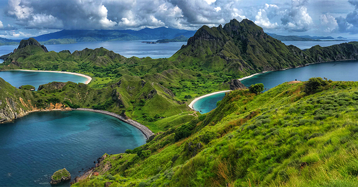 LiveAquaria® invites you to explore Indonesian fish species in stock now