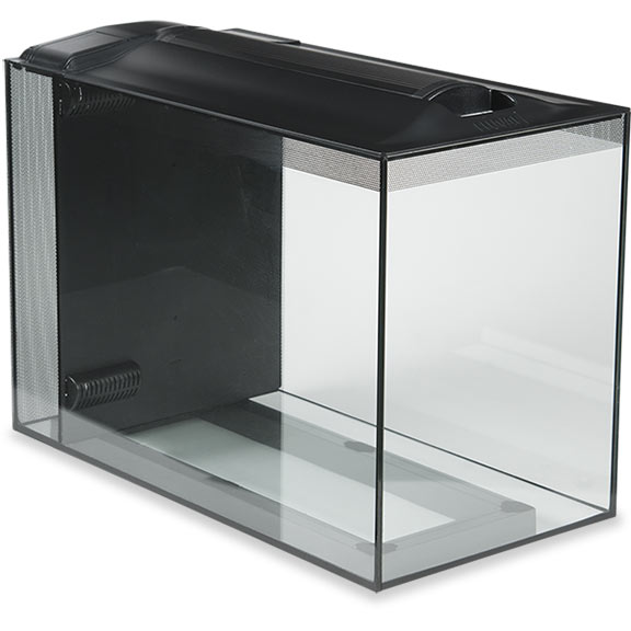 Fluval Spec 16 Gallon Fresh Water - Experience? : r/Aquariums