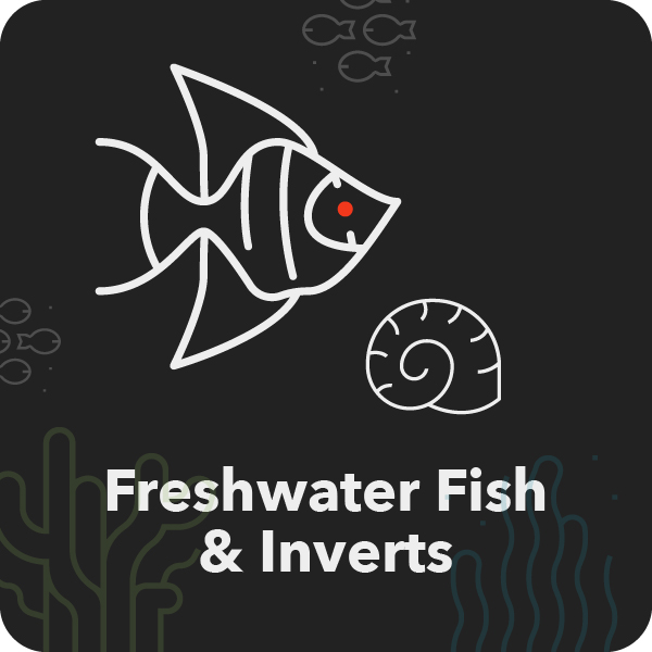 Save up to 50% on hundreds of items for Summer Black Friday through 6/9/24