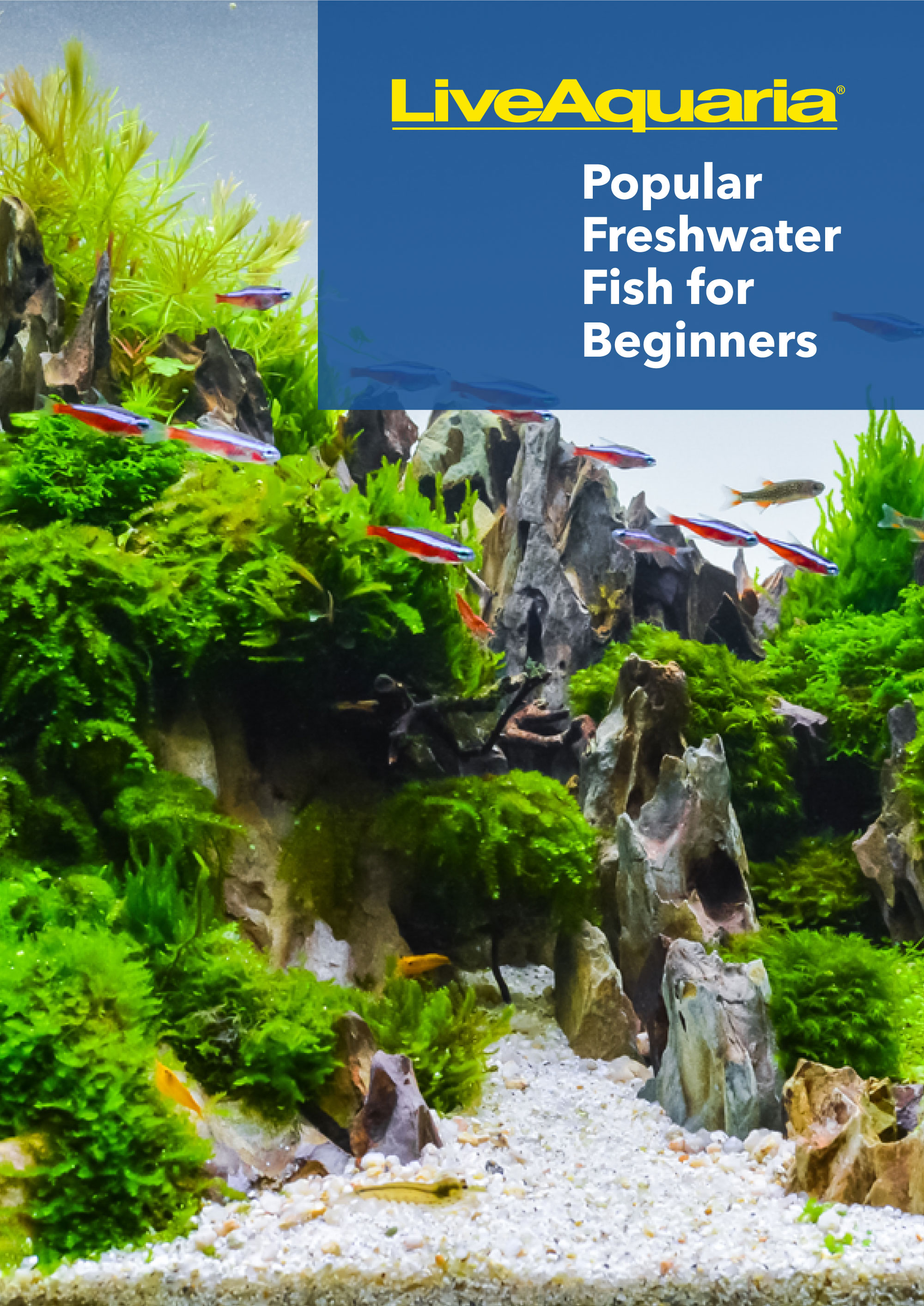 LiveAquaria eBooks | Download one of our FREE eBooks containing expert ...
