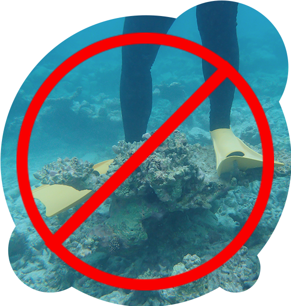 LiveAquaria Commitment to Reef Awareness