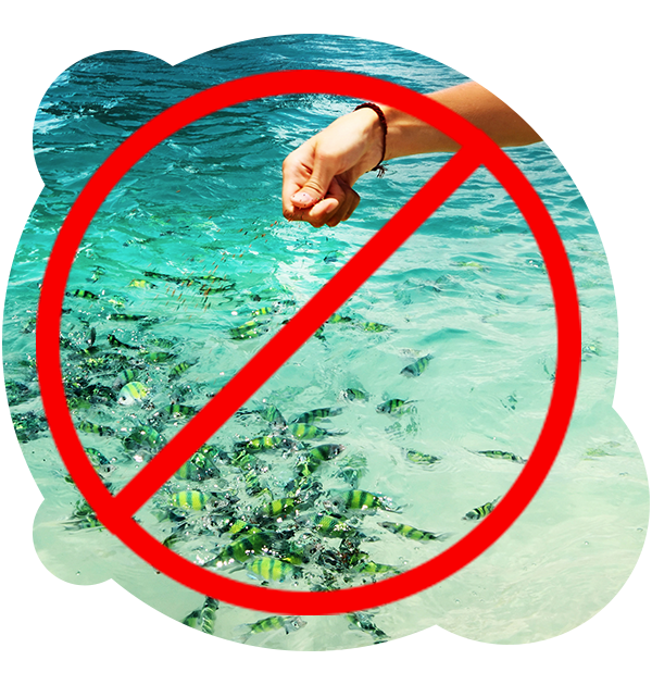 LiveAquaria Commitment to Reef Awareness