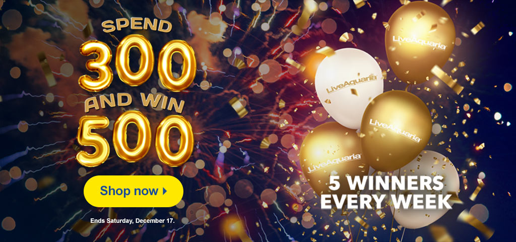 Spend 300 Win 500 Campaign