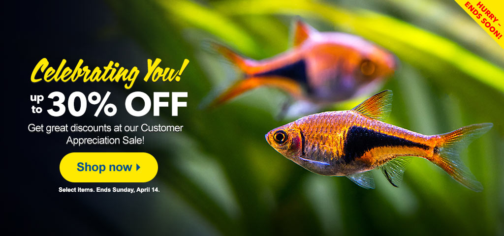 LiveAquaria | Quality Aquarium Fish, Supplies & Equipment