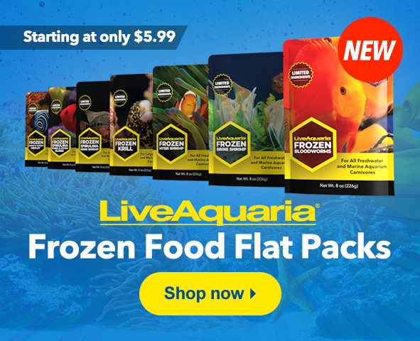 LiveAquaria | Quality Aquarium Fish, Supplies & Equipment