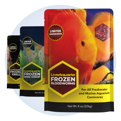 LiveAquaria | Quality Aquarium Fish, Supplies & Equipment