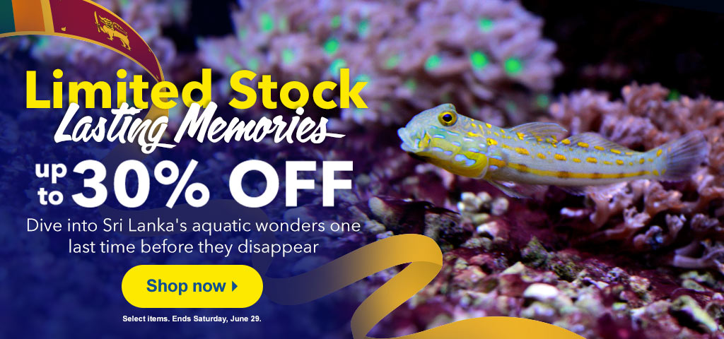 LiveAquaria | Quality Aquarium Fish, Supplies & Equipment