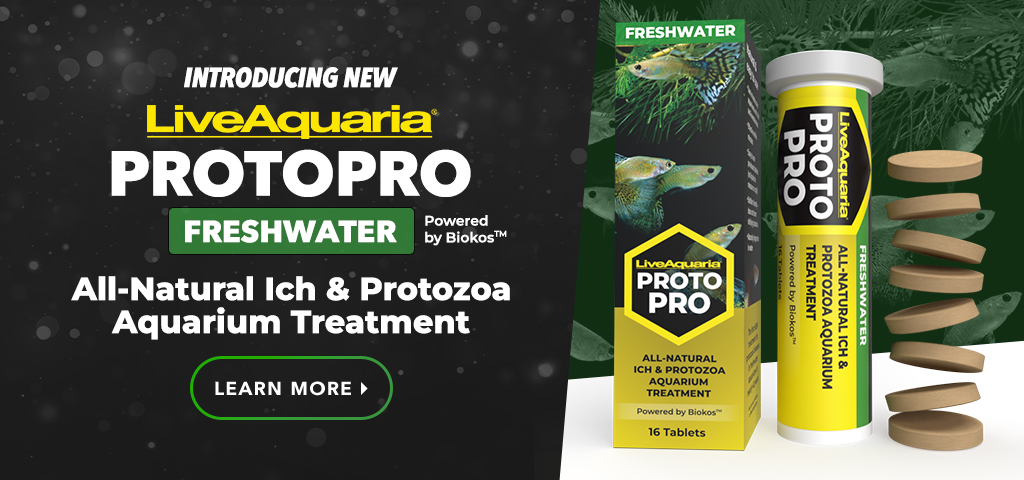 LiveAquaria | Quality Aquarium Fish, Supplies & Equipment