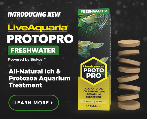 LiveAquaria | Quality Aquarium Fish, Supplies & Equipment