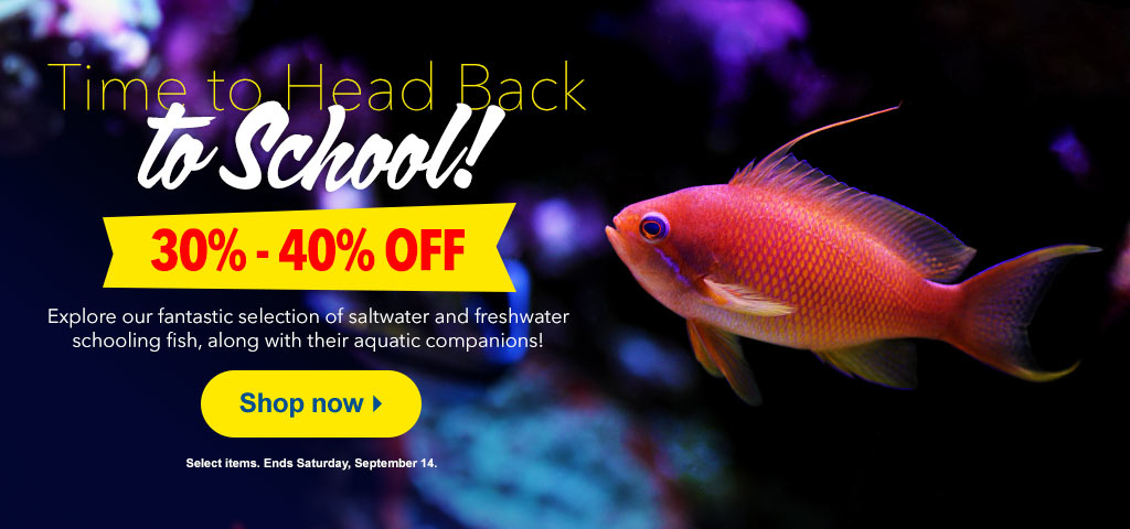 LiveAquaria | Quality Aquarium Fish, Supplies & Equipment