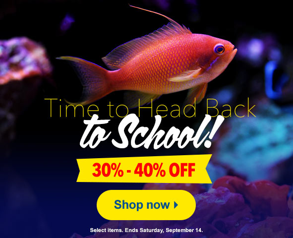 LiveAquaria | Quality Aquarium Fish, Supplies & Equipment